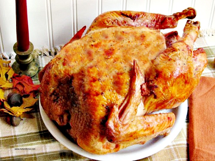 14+ tasty turkey recipes for your Thanksgiving feast. Insanely delicious!