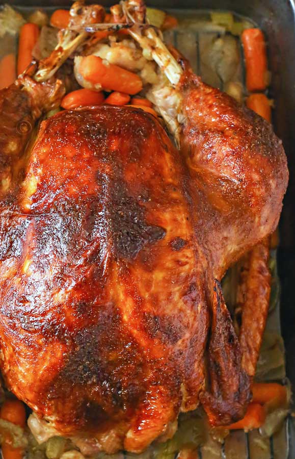 14+ tasty turkey recipes for your Thanksgiving feast. Insanely delicious!